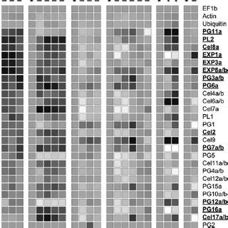 Heat Map Displaying The Change In Gene Expression Log Base 2 Ratios