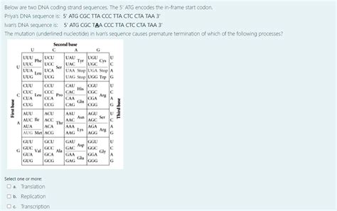 Solved Below are two DNA coding strand sequences. The 5' ATG | Chegg.com