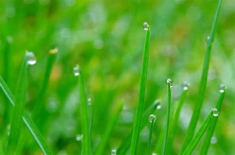 Dew Point Pengertian Manfaat Penerapan Serta Alat Ukurnya