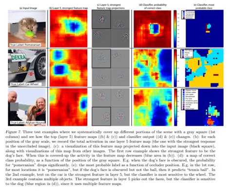 visualizing and understanding convolutional networks zfnet