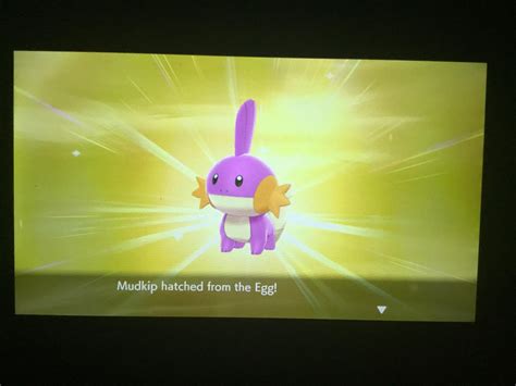 First Torchic Now Mudkip 2 3 Done Now Treeko R Pokemonswordandshield