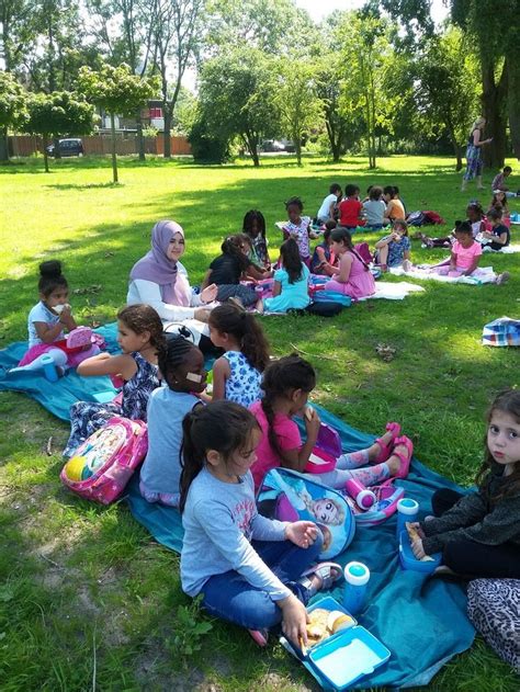 Picknicken Picknick Activiteiten Zomer