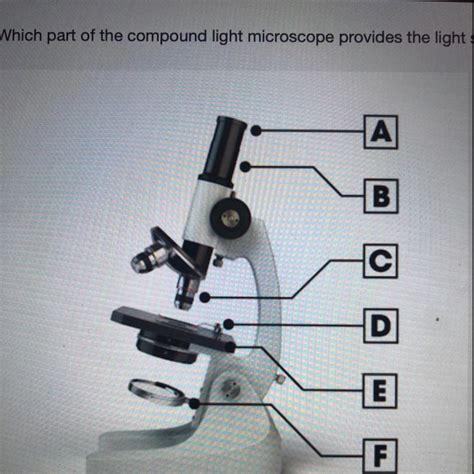 Compound Microscopes Focus Light Through At Gladys Starr Blog