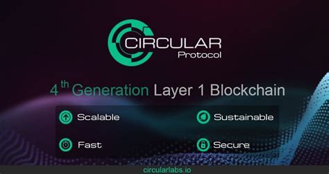 Understanding Circular Protocol Blockchain A New Paradigm In Decentralized Networks By Weyrud