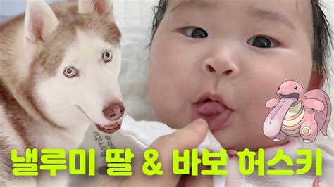 육아 브이로그 이유식 시작 종류 간단설명회 And 임산부 다래끼 내돈내산 피카비 후기 허스키의 무한 간식요구 5개월 아기 발달 Youtube