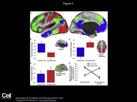 The Future Of Memory Remembering Imagining And The Brain Ppt Download