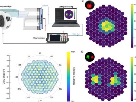 Hkust Develops Groundbreaking Artificial Compound Eye To Revolutionize Robotic Vision At Lower
