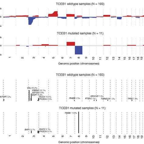 Genome Wide Copy Number Plots Depicting Chromosomal Gains Red And Download Scientific Diagram