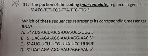 Solved The Portion Of The Coding Non Template ﻿region Of A