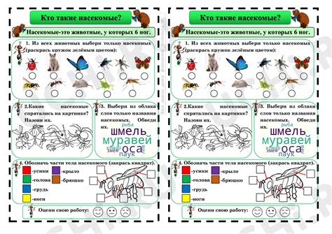 📒 Рабочий лист №12 по теме “Рабочий лист к уроку окружающего мира по теме Кто такие насекомые