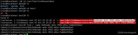 由于内存不够导致clickhouse节点无法启动 clickhouse内存不足 csdn博客