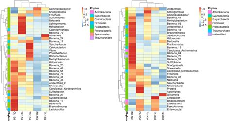 Hierarchically Clustered Heat Map Analysis Of The Highly Represented