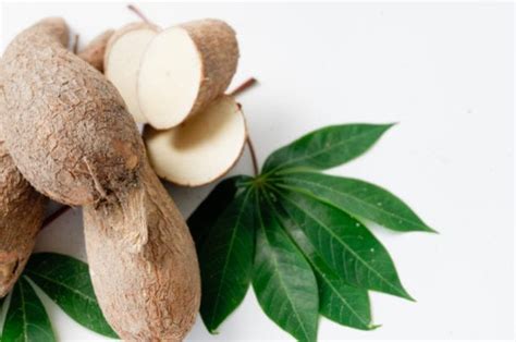What Is Tapioca Fiber And Is It Keto Keto Nutrition