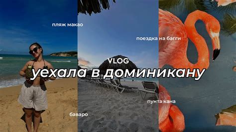 Свалили от канадского холода в солнечную Доминикану влог Youtube