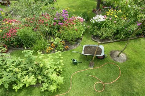 Types Of Grass You Can Find In Home Gardens