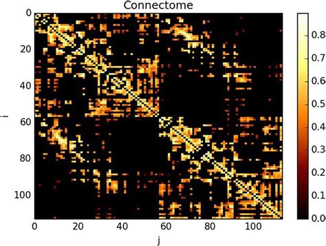 representation of the adjacency matrix of the connectome for a network