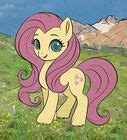 All About Cutie Marks What They Mean And How They Work
