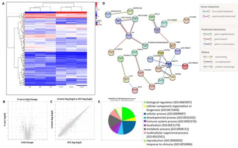 Functional Categorization Of Differentially Expressed Genes In