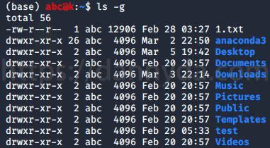 Ls Command Examples Introduction To Ls Command In Linux How To Use Ls In Linux