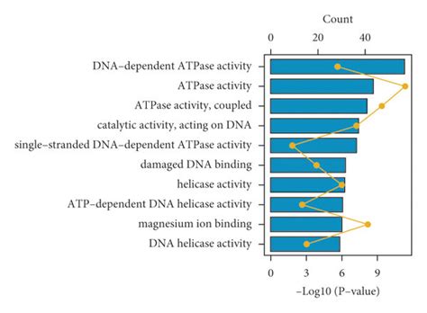 Functional Analysis Of The Prognostic Model A Biological Process In Download Scientific