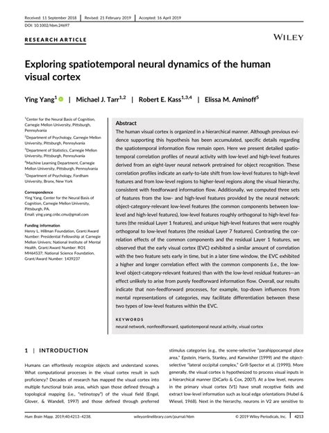 Exploring Spatiotemporal Neural Dynamics Of The Human Visual Cortex
