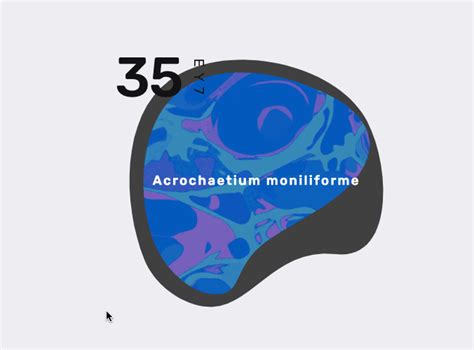 2017 A Round Up Of All Codrops Resources