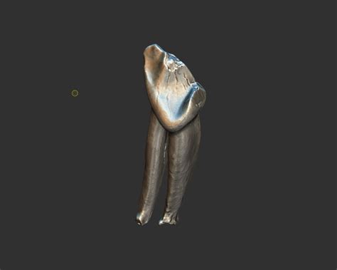 Obj File Ancient Mammalian Tooth Fossil Model・3d Printing Design To