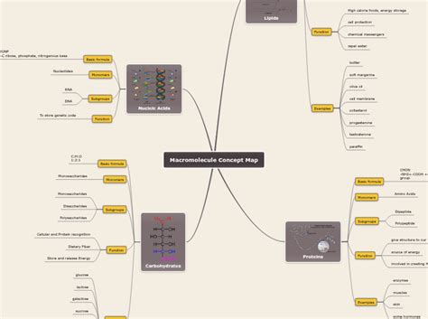 Macromolecules Concept Map Mindomo Mind Map