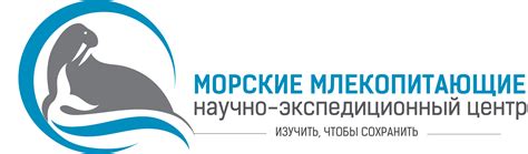 mmrec