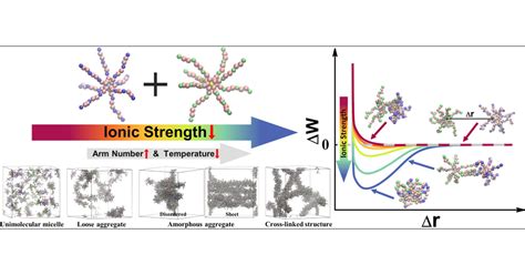 Self Assembly Of Star Polyelectrolytes In Various Solution Conditions Macromolecules