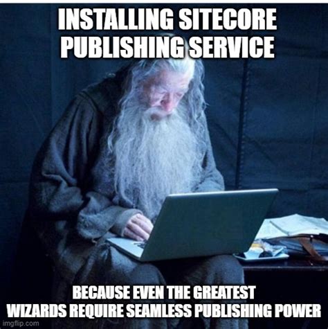 sitecore publishing service 6 0 simple feature and installation guide