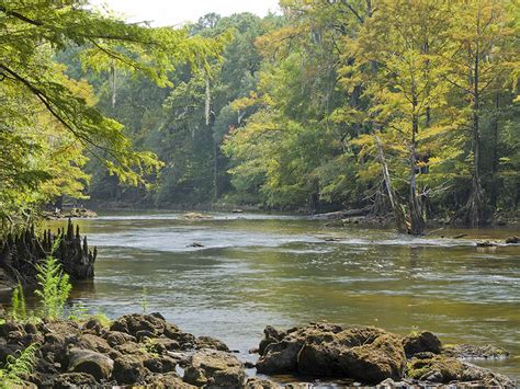 Aquatic Sciences Research The Jones Center At Ichauway Research Labs