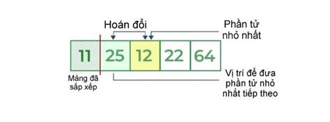 selection sort hiểu về thuật toán sắp xếp chọn ncc ant