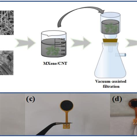 A Preparation Process Of Mxenecnt Sandwich Composite Film B Flexible Download Scientific