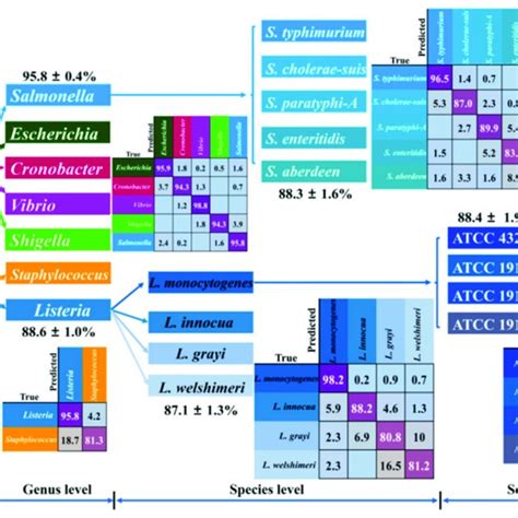Rapid Identification Of Bacteria By Raman Spectroscopy And Machine