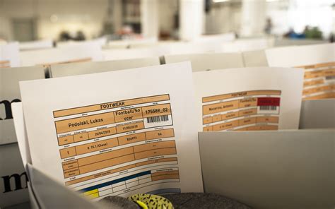 Bethedifferencescheinfeld04 Hardwood And Hollywood