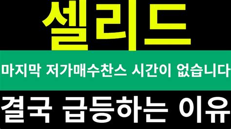 셀리드 주가전망 지금 흔들리면 큰 돈 못 법니다 셀리드가 지금보다 더 올라 갈 수 밖에 없는 이유 지금 반드시 확인하셔야 합니다 셀리드 셀리드주가 셀리드