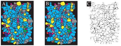 Quality Of The Prediction Of The Dynamical History Panel A Synthetic Download Scientific