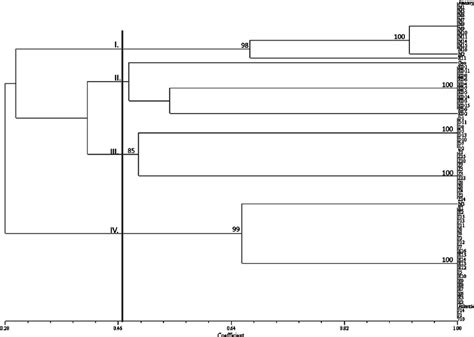 Unweighted Pair Group Method With Arithmetic Averages Upgma