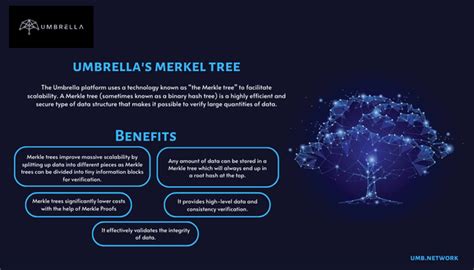 The Technology Powering Umbrella Network Platform Umbrellanetwork