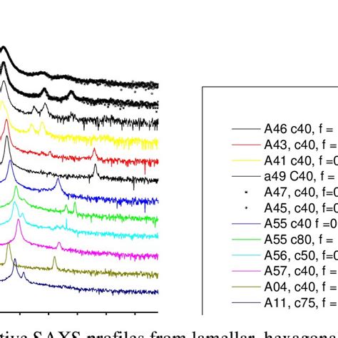 Presents Representative Saxs Measurements Performed On Beamline A2 At