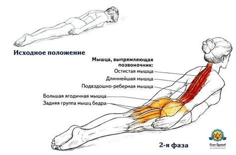 Pin On Byuanovsyroed