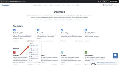 Skywalking入门搭建【apache Skywalking Apm 1000】skywalking1000版本部署 Csdn博客