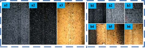 figure 1 from a novel automatic classification method based on the
