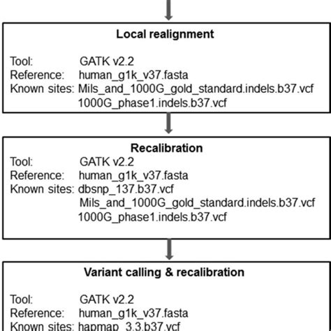 Next Generation Sequencing Data Analysis Workflow Download