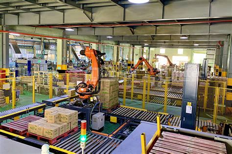 Carton Loading And Unloading Robot System