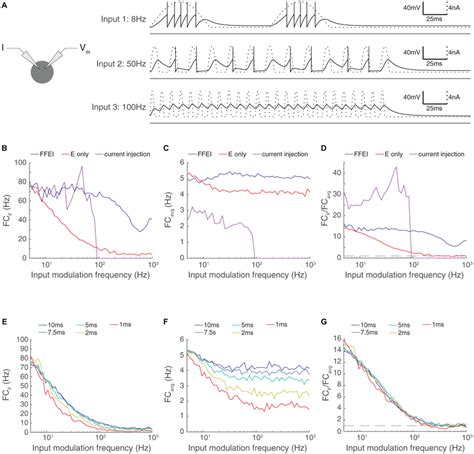 Paired Feed Forward Ei Inputs Allows Transmission Of Higher Input Download Scientific Diagram