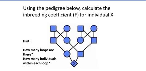 Solved Use The Following Pedigree To Calculate The