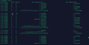 Ss Command In Linux With Examples