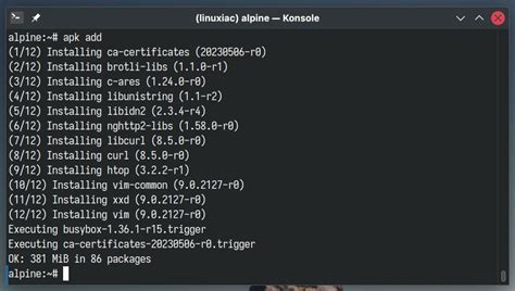 alpine user s guide to apk how to manage packages